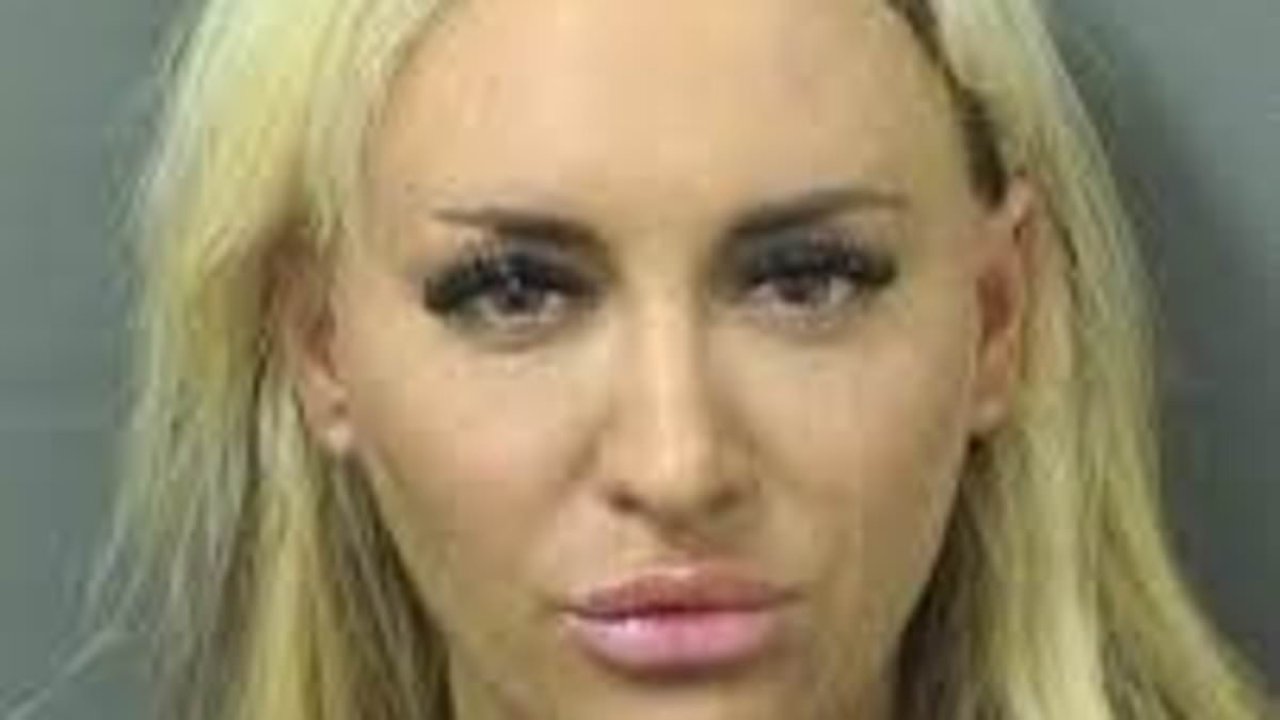 Fox News host rape accuser pouts in mugshot after arrest for battery ...